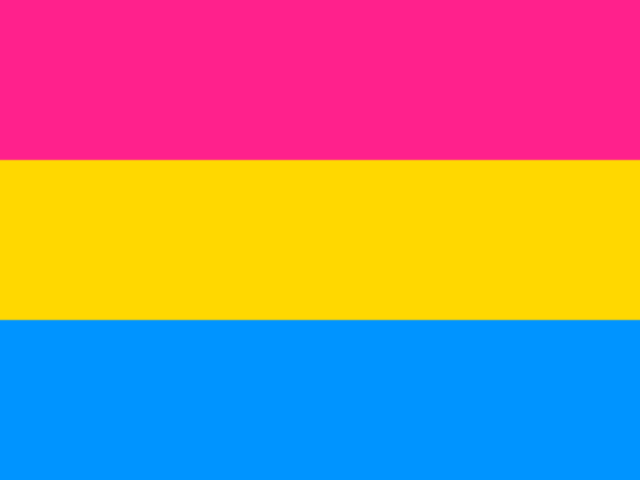 Happy National Pansexual Pride Day: Stay Pan. Stay Proud. – Project MORE